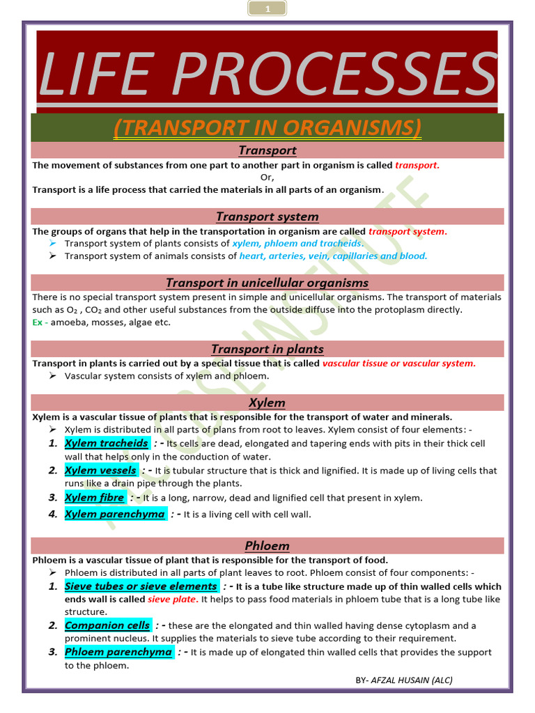10th Transport Notes-1 | PDF