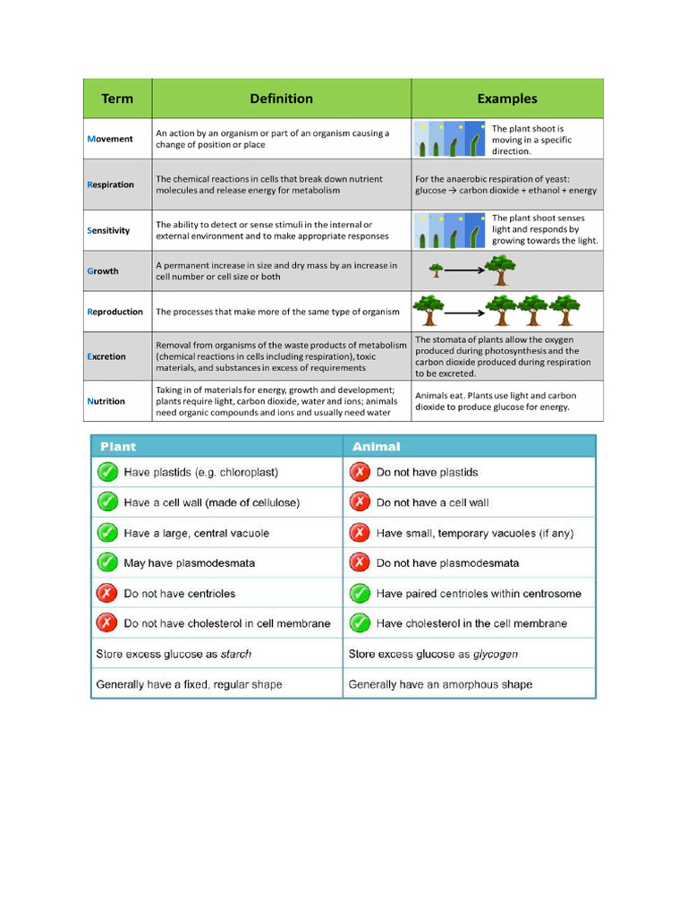 GRIMNER and Similarities and Differences Between Plant and Animal Cells ...