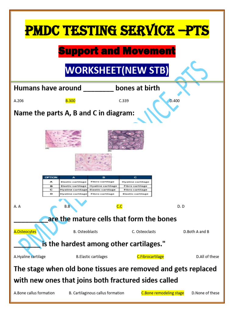 Support and Movement (Worksheet (New STB) PMDC Testing Service - Pts | PDF