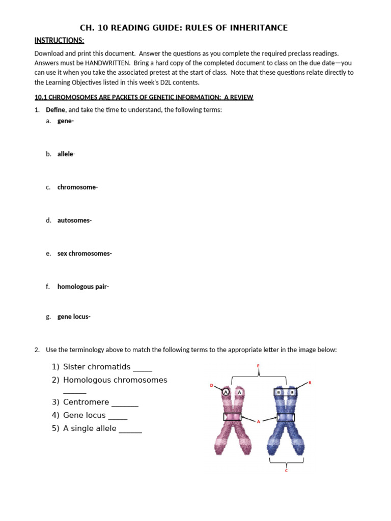 READING GUIDE--CH. 10 PATTERNS OF INHERITANCE | PDF