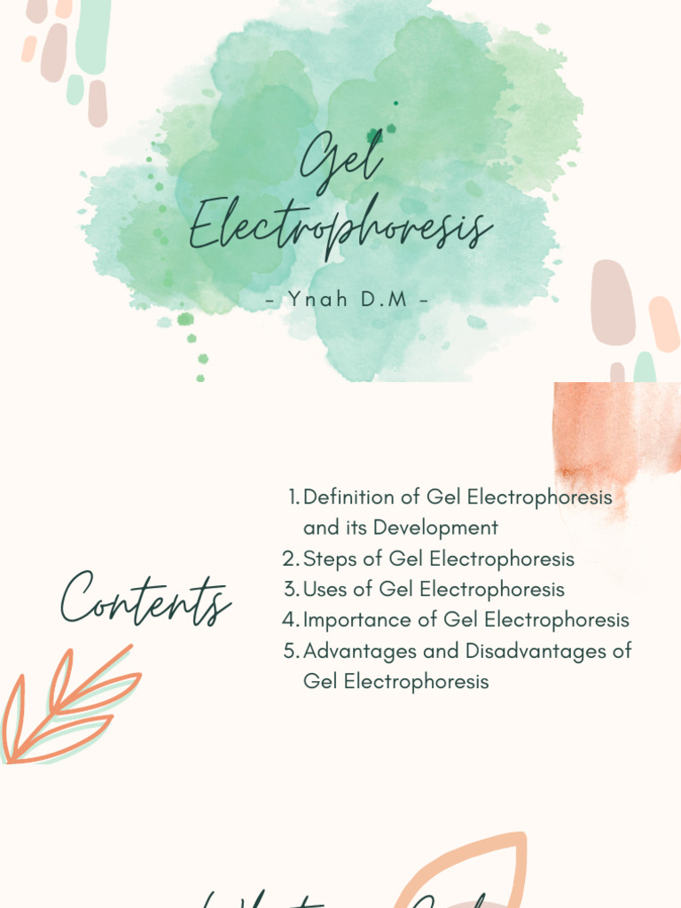 Gel Electrophoresis Presentation | PDF | Gel Electrophoresis | Dna ...