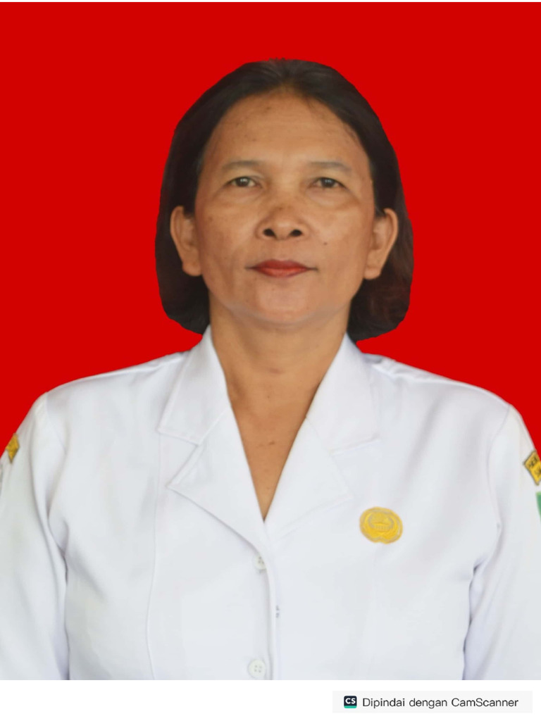 Foto Risda Sinaga | PDF