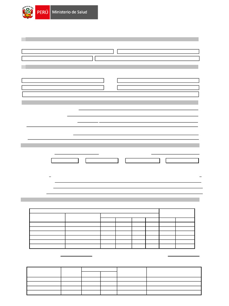 Formulario Preliminar Edan | PDF