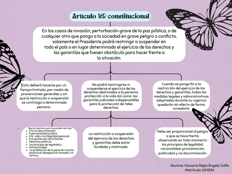Mapa Conceptual Del Artículo 29 Constitucional. 201334 | PDF