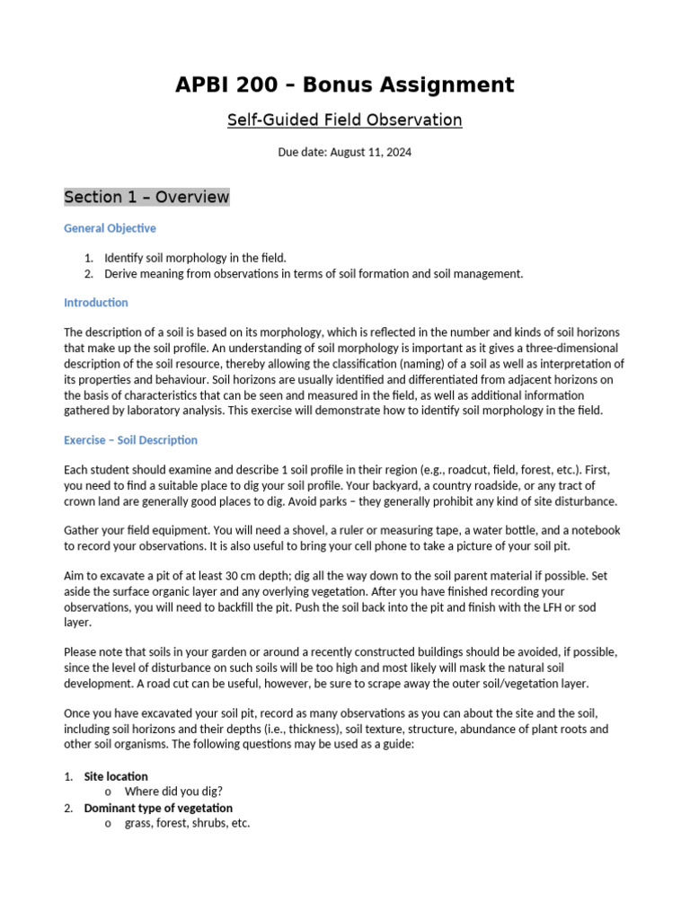 Bonus Assignment | PDF