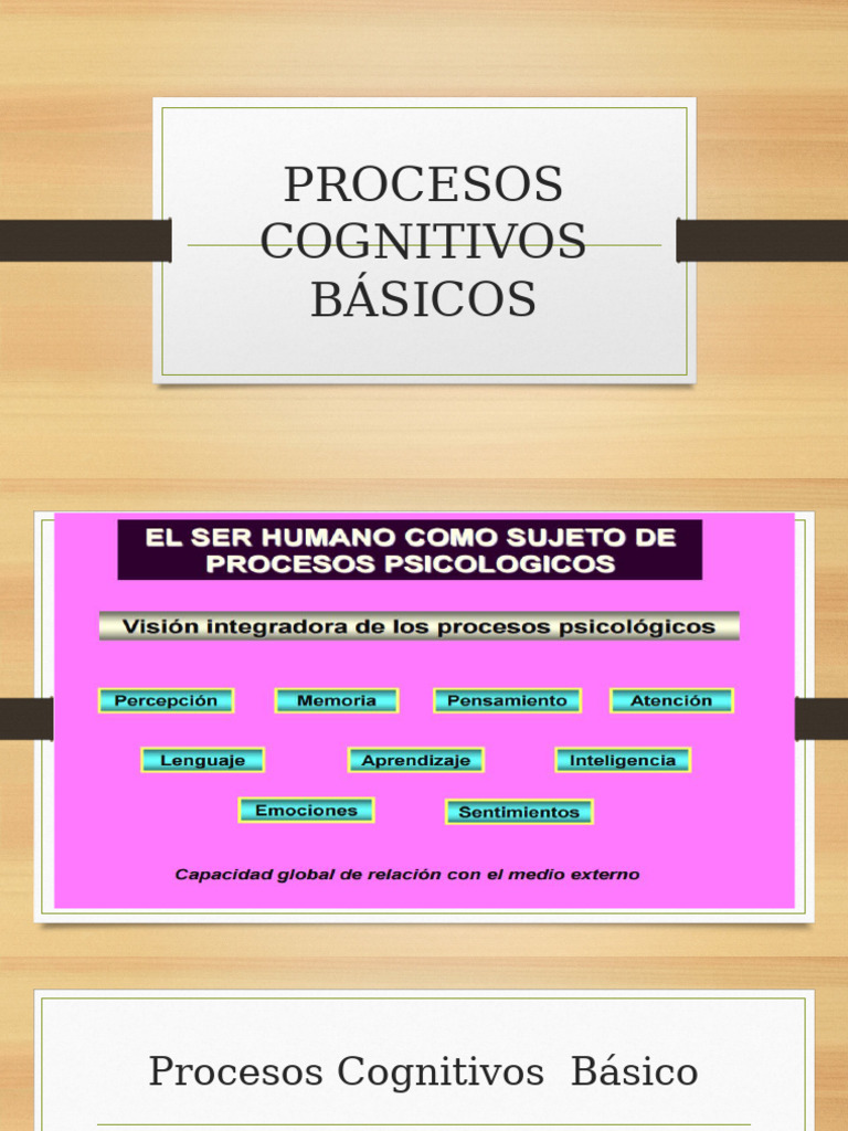 Procesos Cognitivos Básicos 1 | PDF
