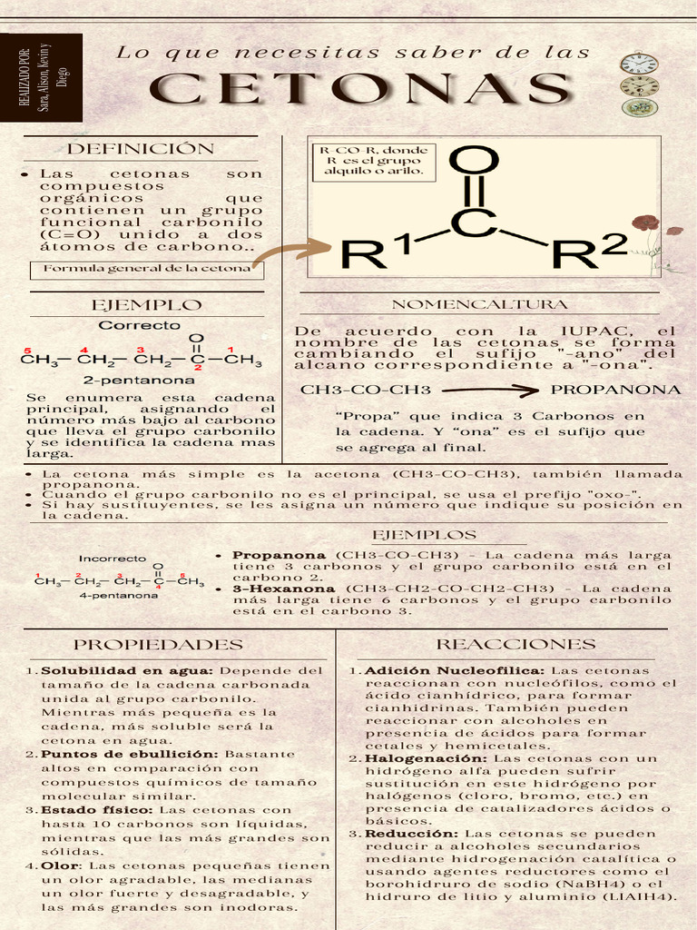 Infografía Cetonas | PDF