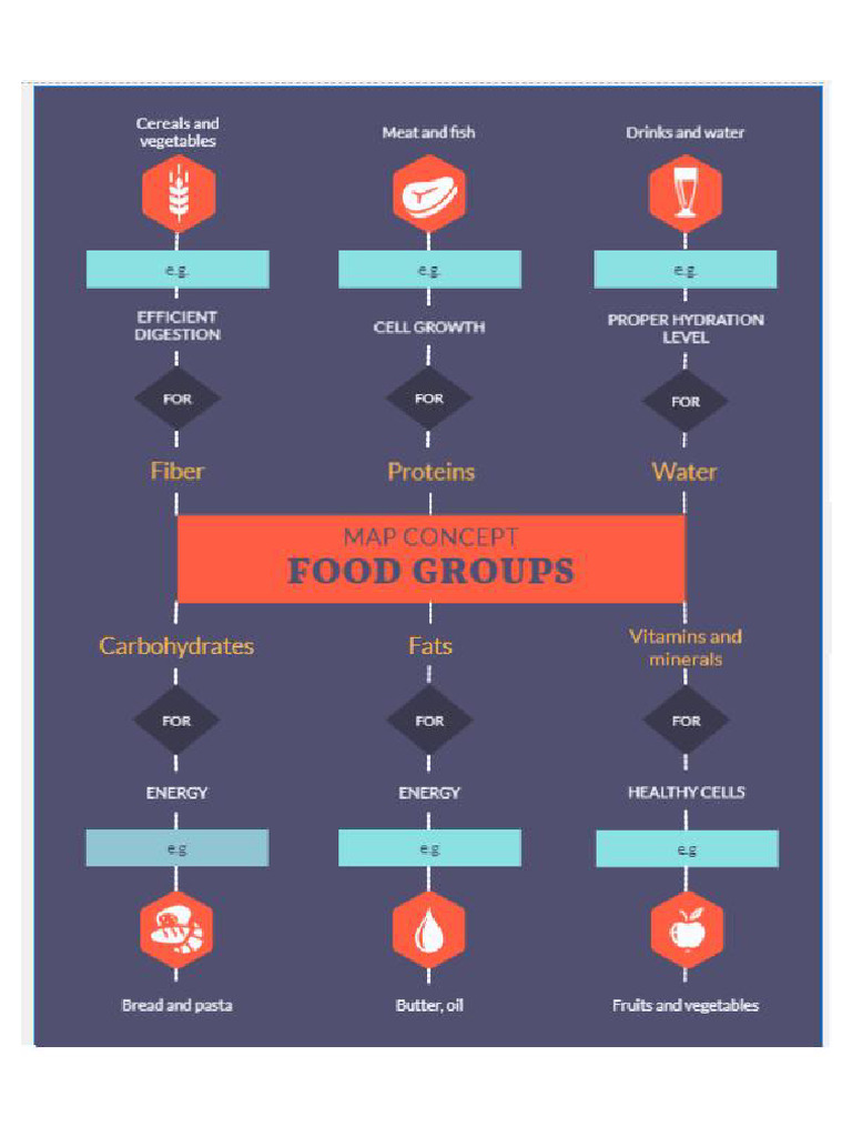 Food Group Concept Map | PDF