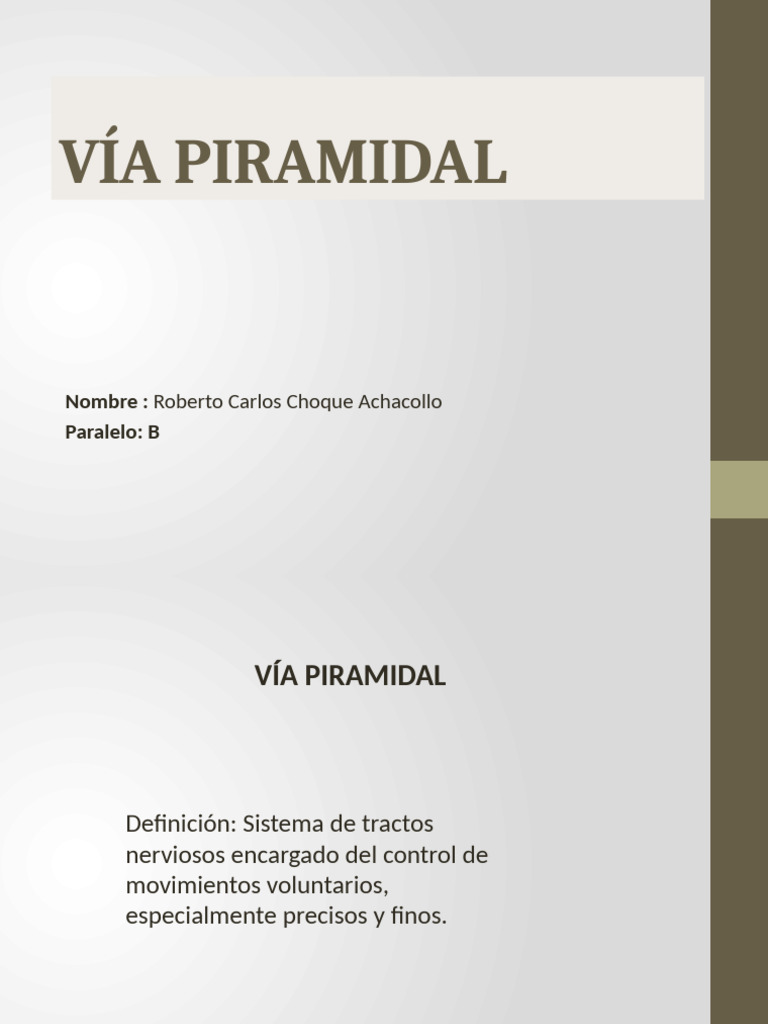 Vía Piramidal | PDF