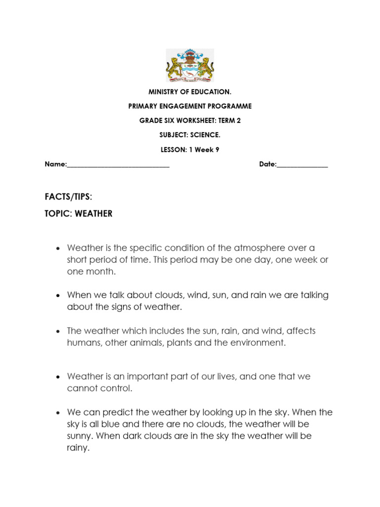Grade 6 Science Weeks 9-12 Worksheets - Term 2 | PDF