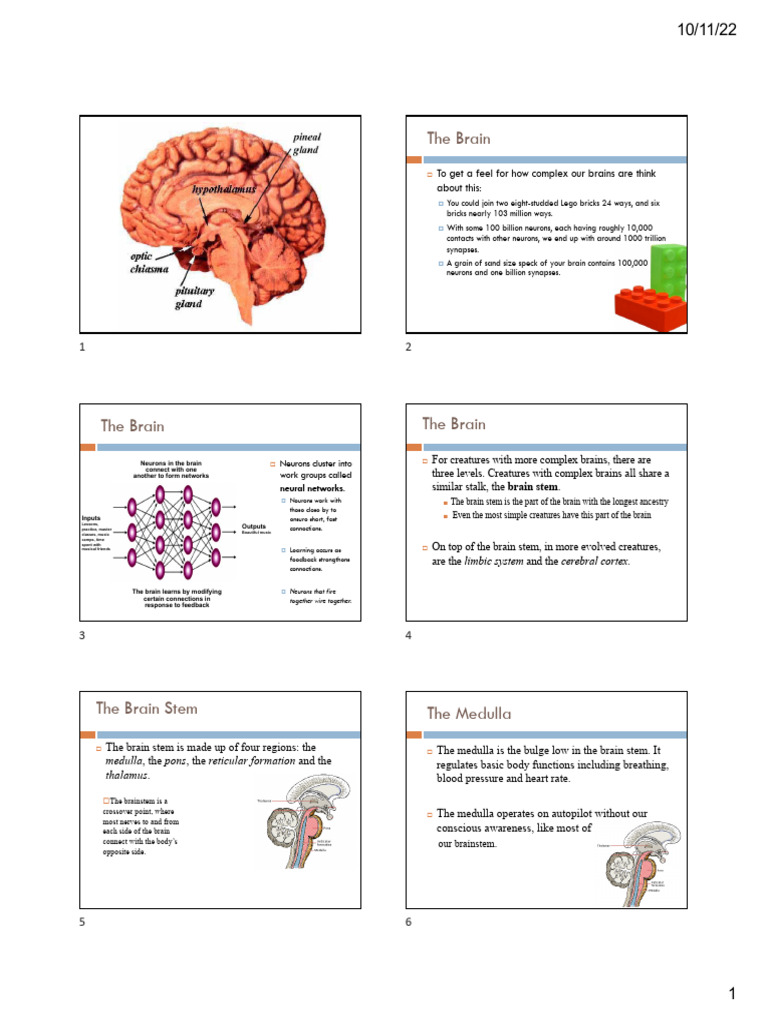 The Brain Notes 1-14 | PDF