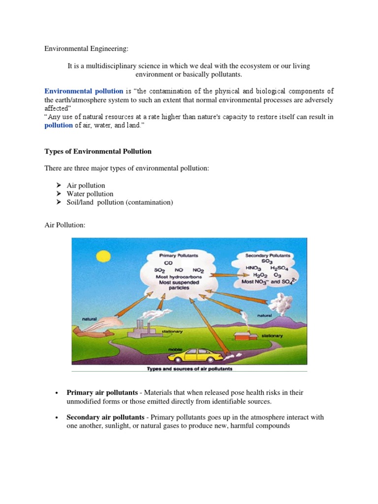 Environmental Pollution Overview | PDF | Air Pollution | Ozone