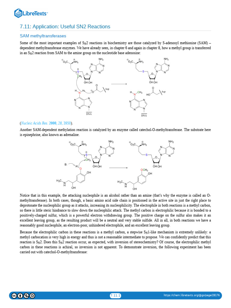 7.11 Application Useful SN2 Reactions | PDF