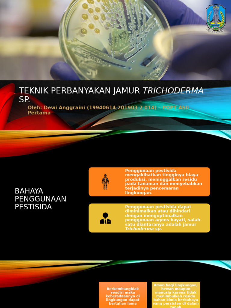 TEKNIK PERBANYAKAN JAMUR TRICHODERMA SP | PDF