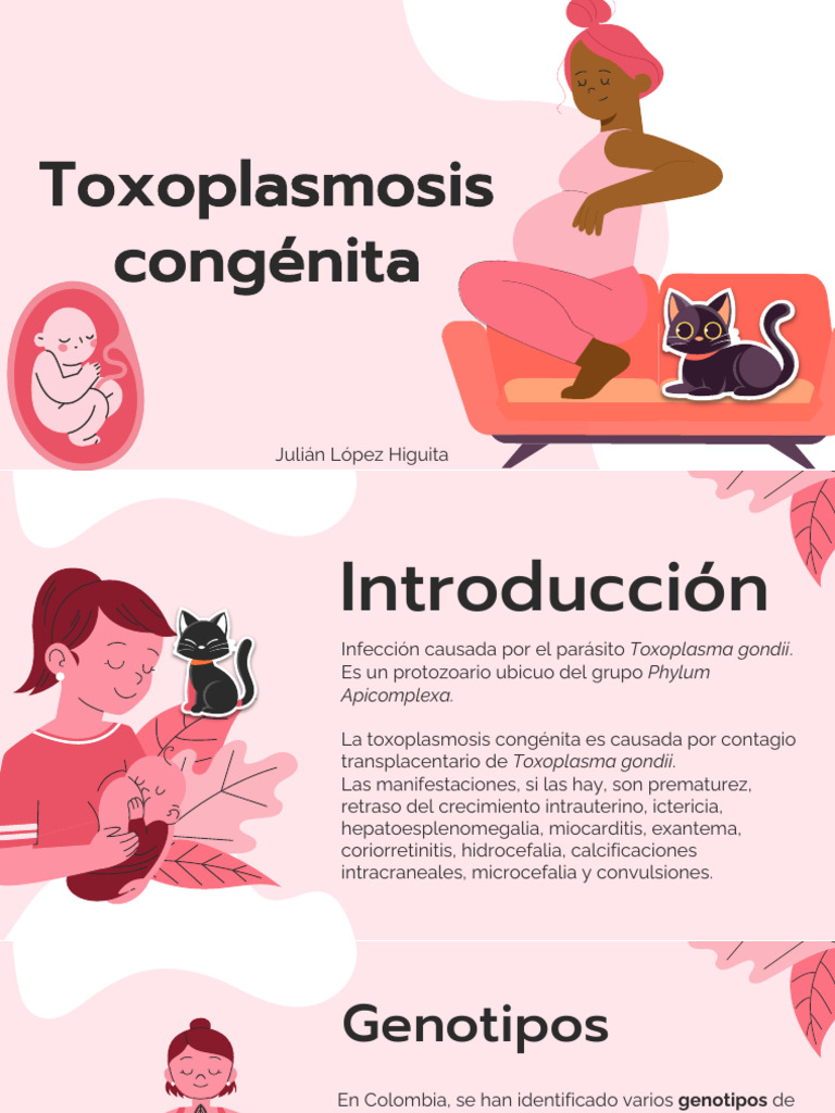 Toxoplasmosis Congenita | PDF