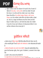 Punjabi Grammar Notes | PDF