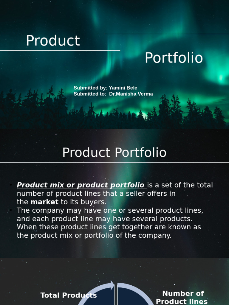 product portfolio | PDF