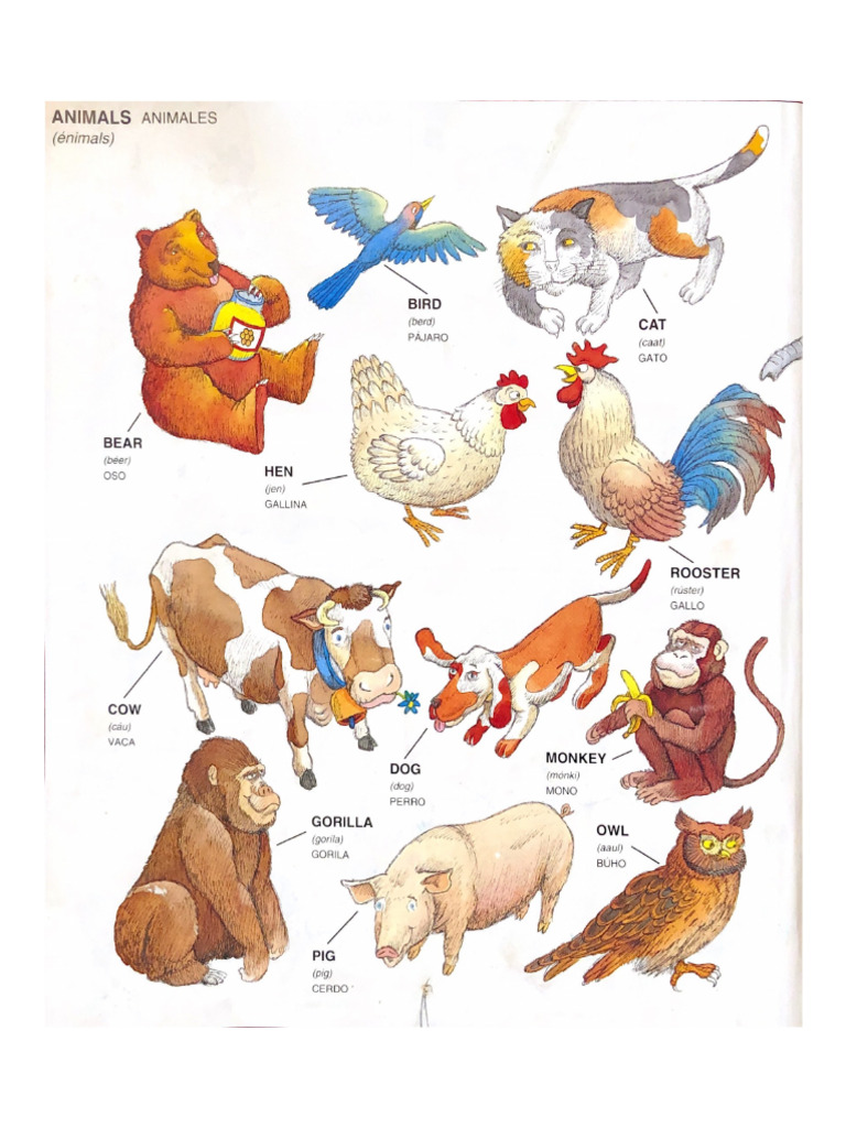Vocabulario Animales | PDF