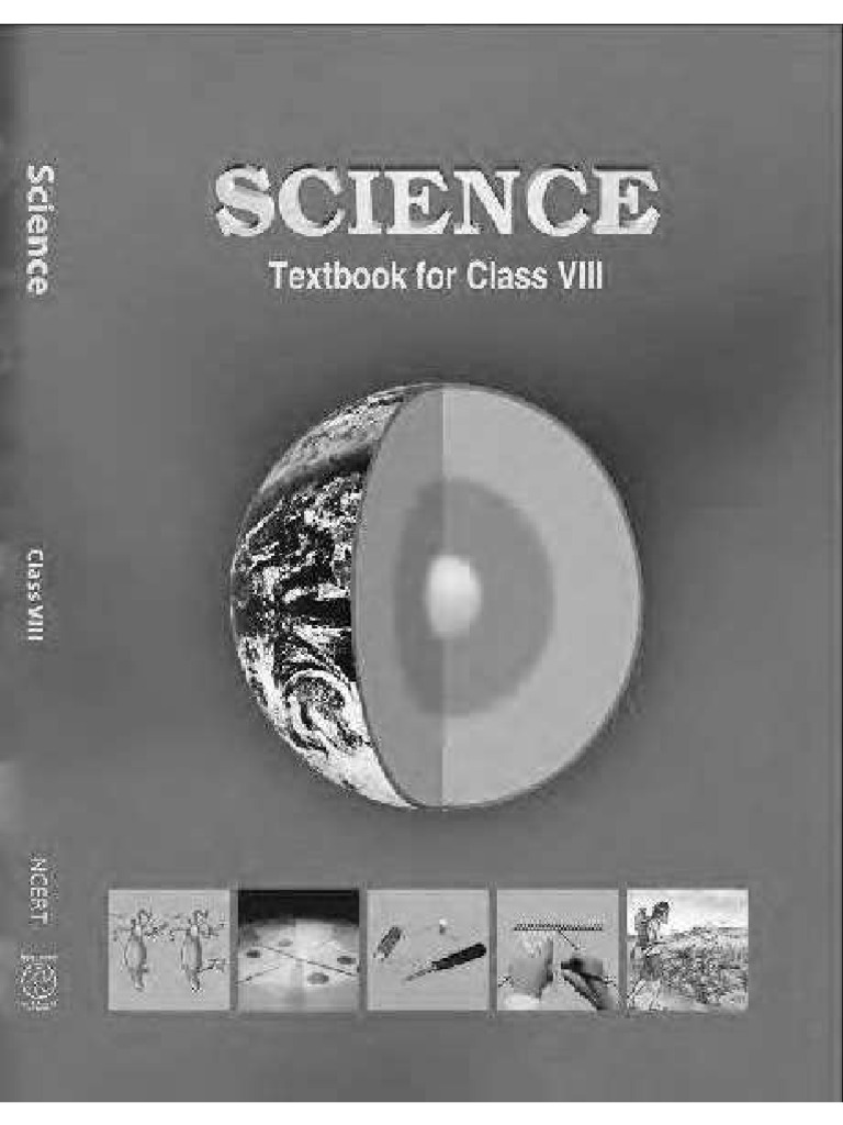 Class 8 | PDF