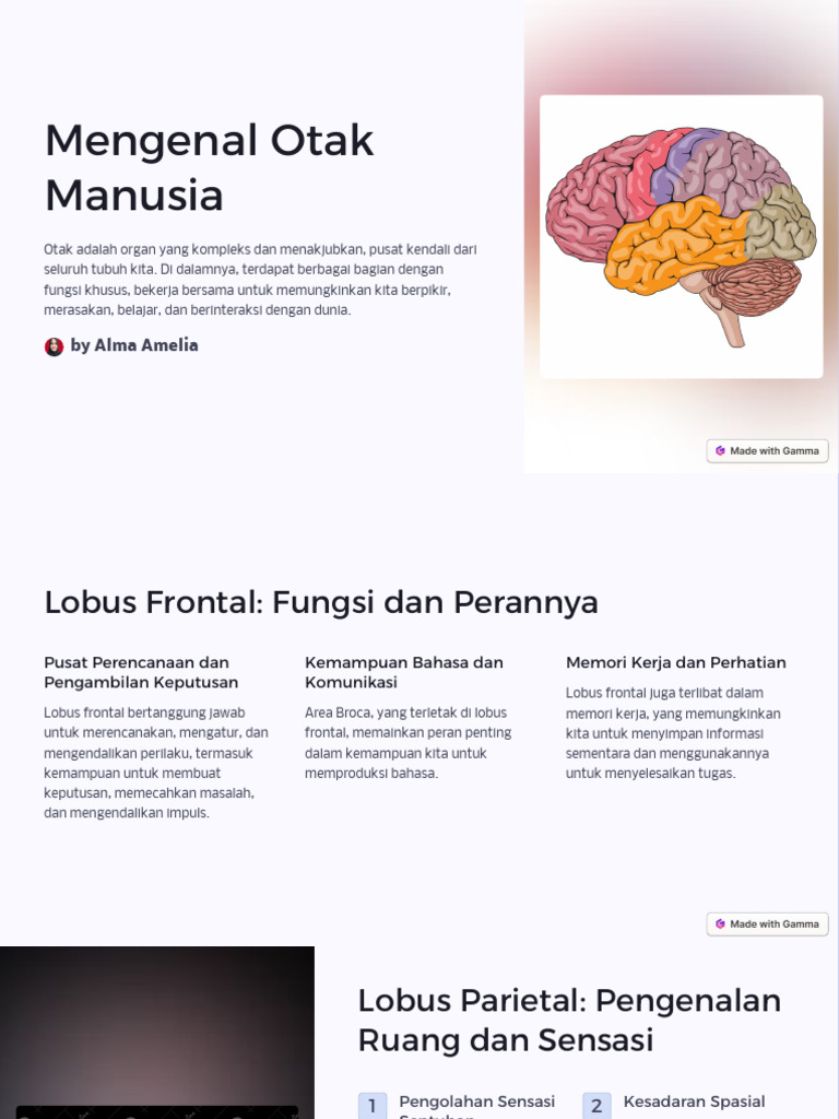 Mengenal-Otak-Manusia | PDF
