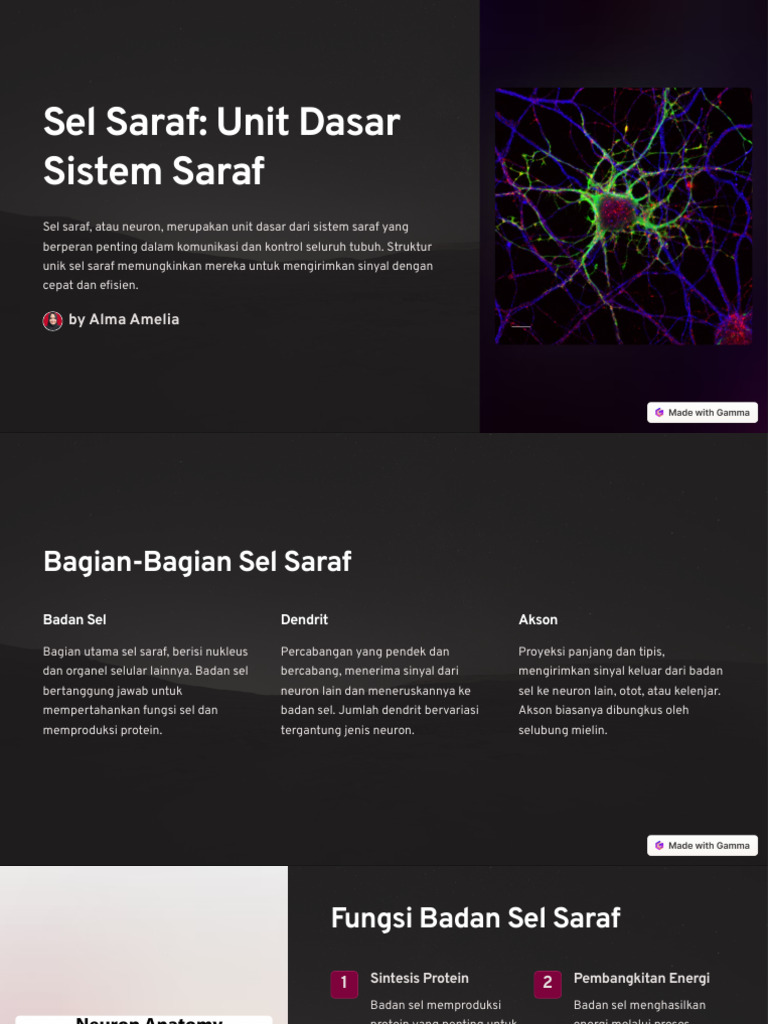 Sel Saraf Unit Dasar Sistem Saraf | PDF