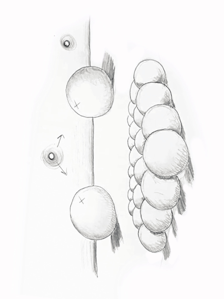 Lesson 2 The Sphere Pdf