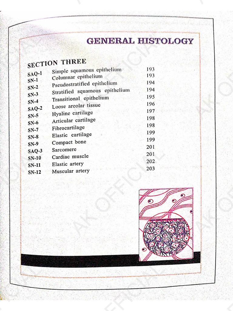 Anatomy SN Kazi Histology - 240618 - 230644 | PDF