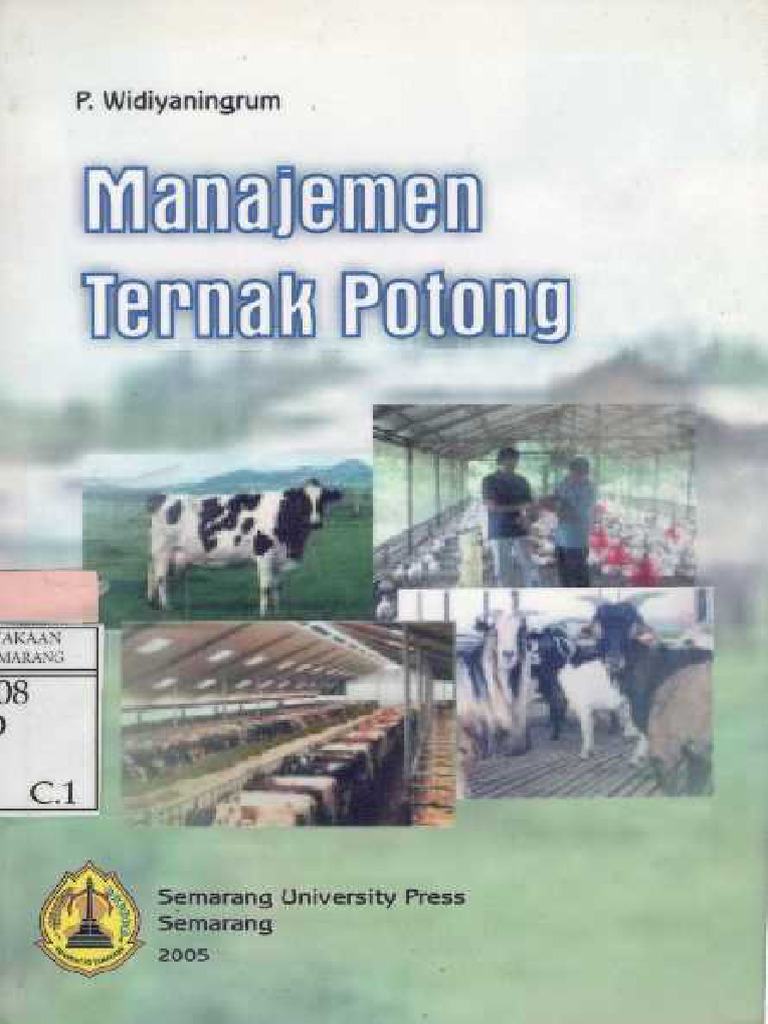 Manajemen Ternak Potong | PDF