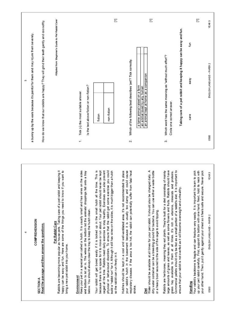 Englisg P2 Worksheets | PDF