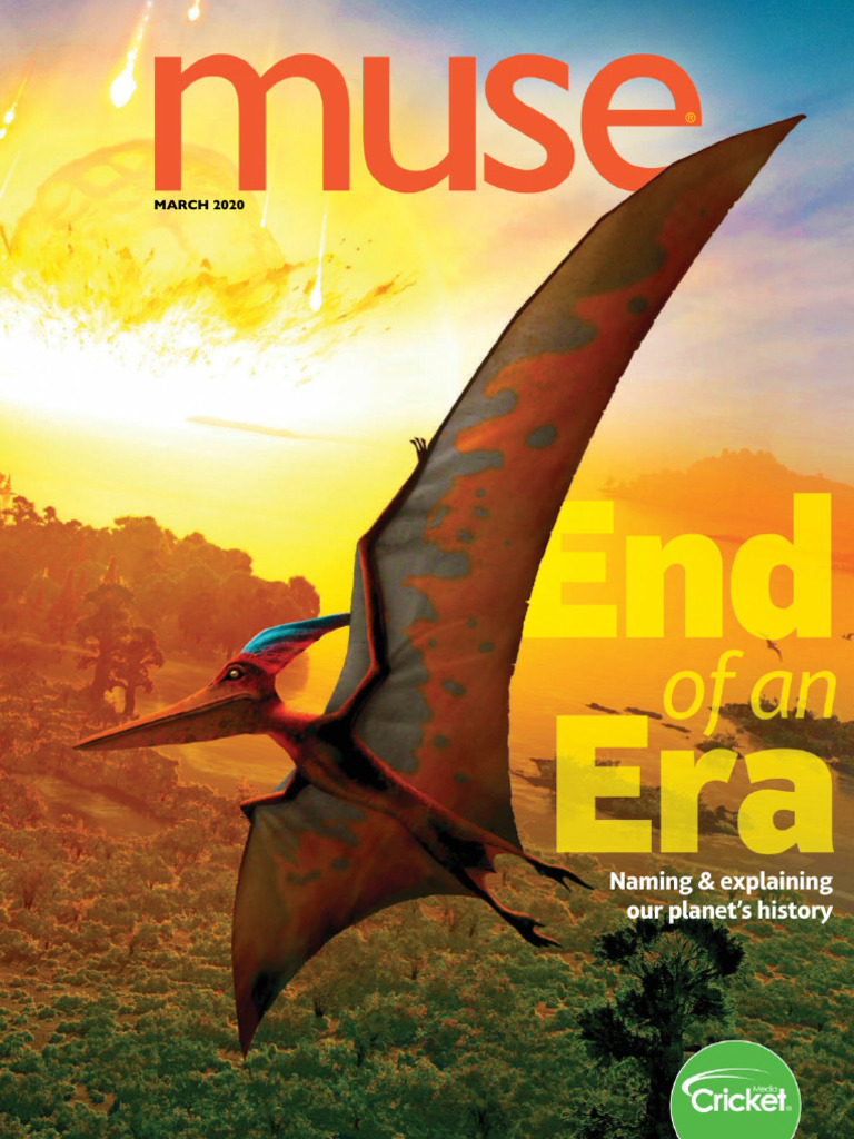 Muse 2020-03 (51p) | PDF