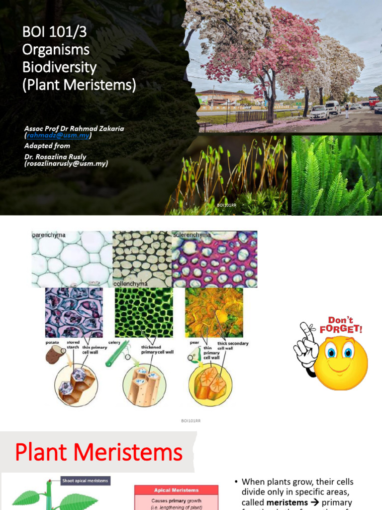 Lecture 4 Boi 101 PDF | PDF