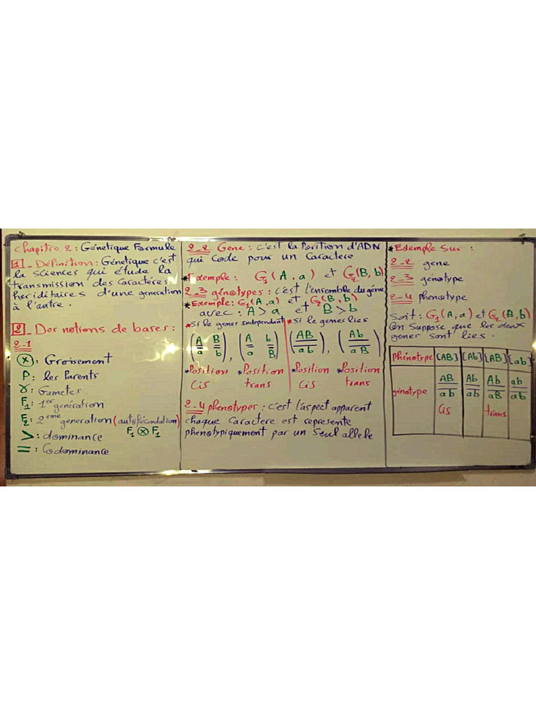 Chapitre Génétique Formule (2023) | PDF