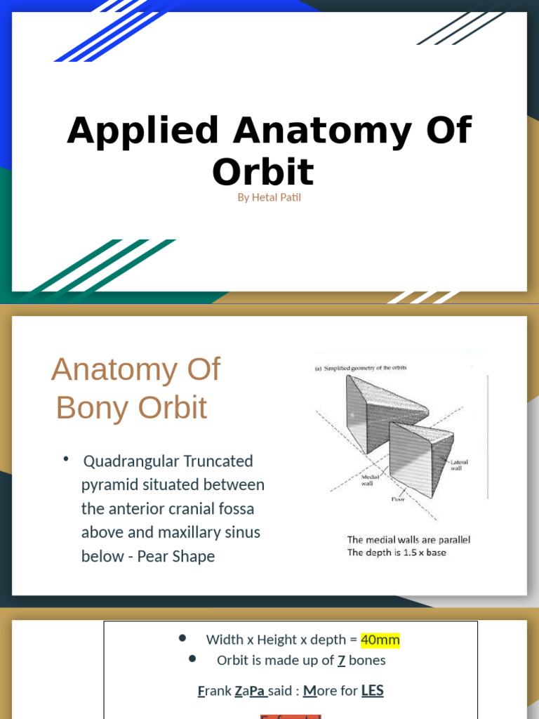 Anatomy and Surgical Spaces of the Orbit | PDF | Human Anatomy | Human ...