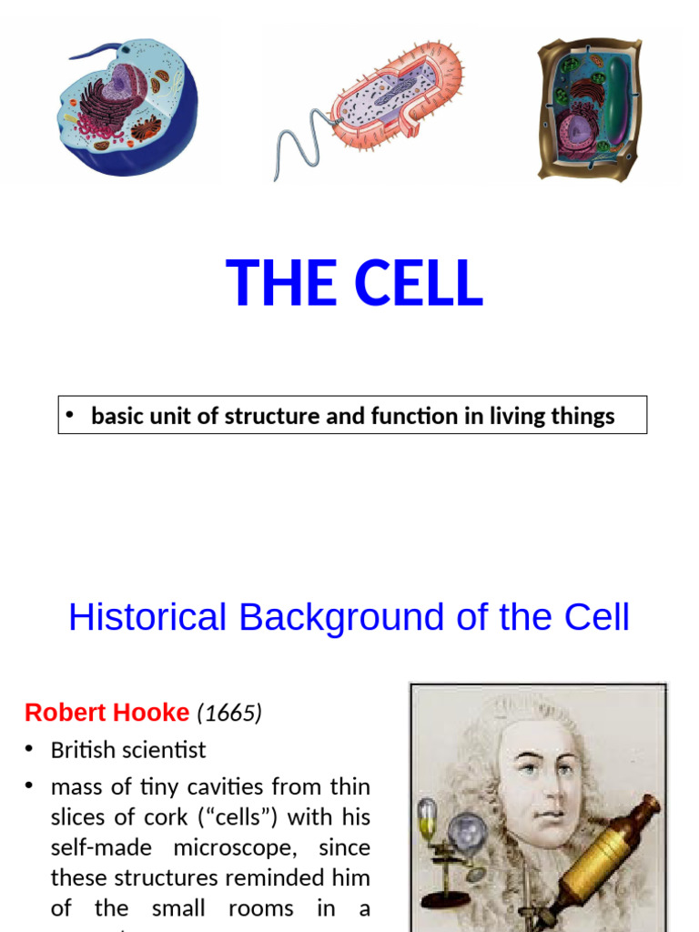 2 The Cell | PDF