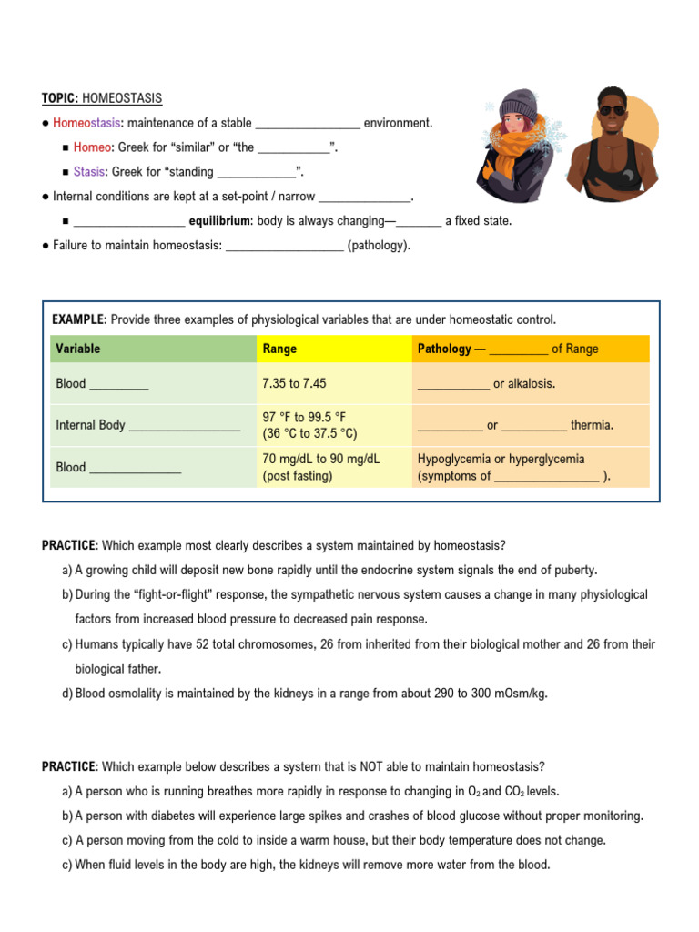Homeostasis Worksheet | PDF