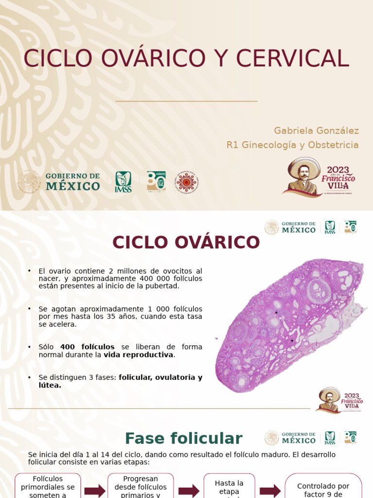 Ciclo Ovarico y Cervical | PDF