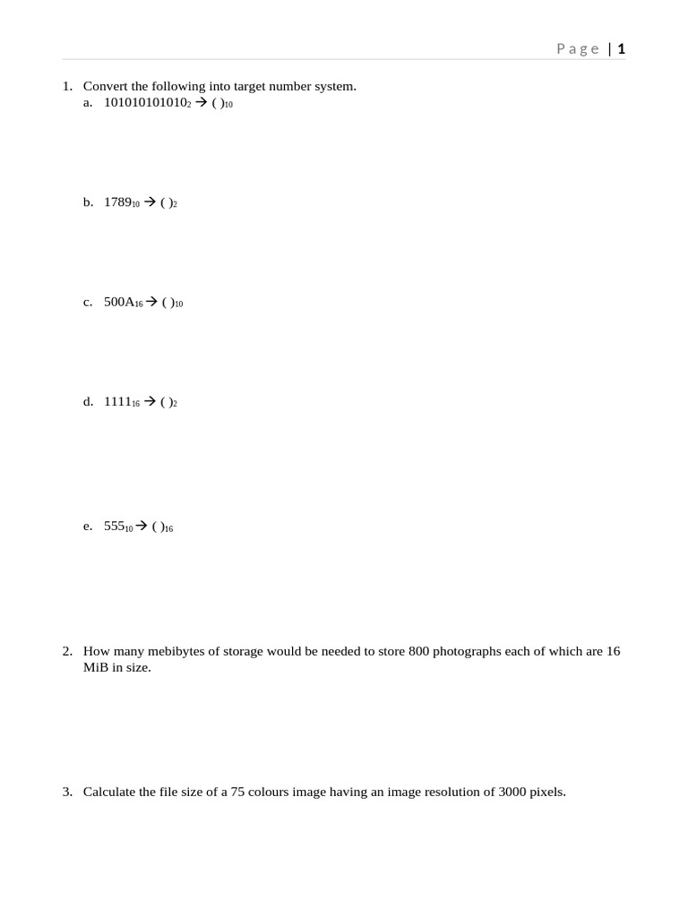 Worksheet Chapter1 | PDF | Byte | Computers