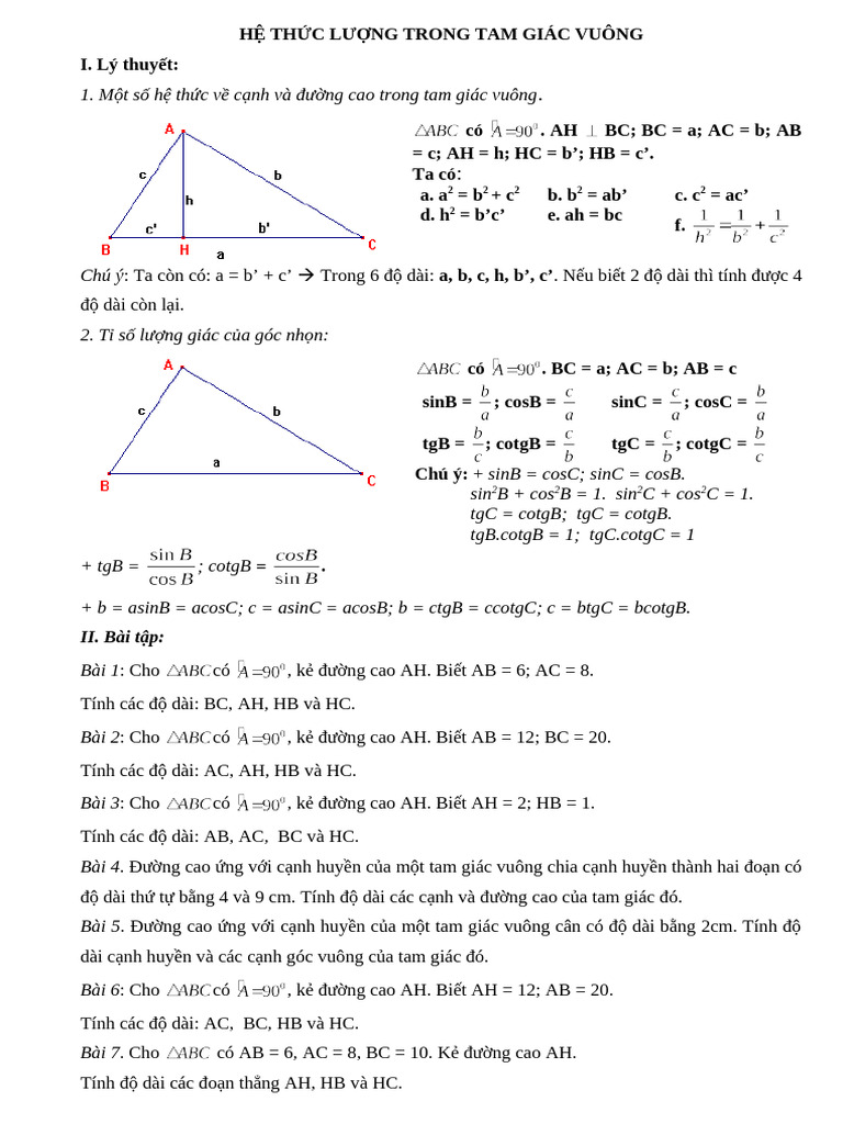 De On Tap He Thuc Luong Trong Tam Giac Vuong | PDF