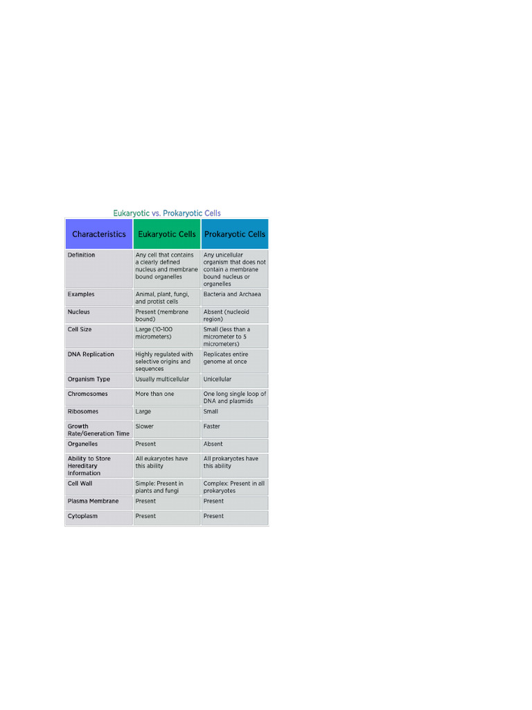 BBOK407 Biology for Engineers Q&A Guide | PDF | Stem Cell | Home & Garden