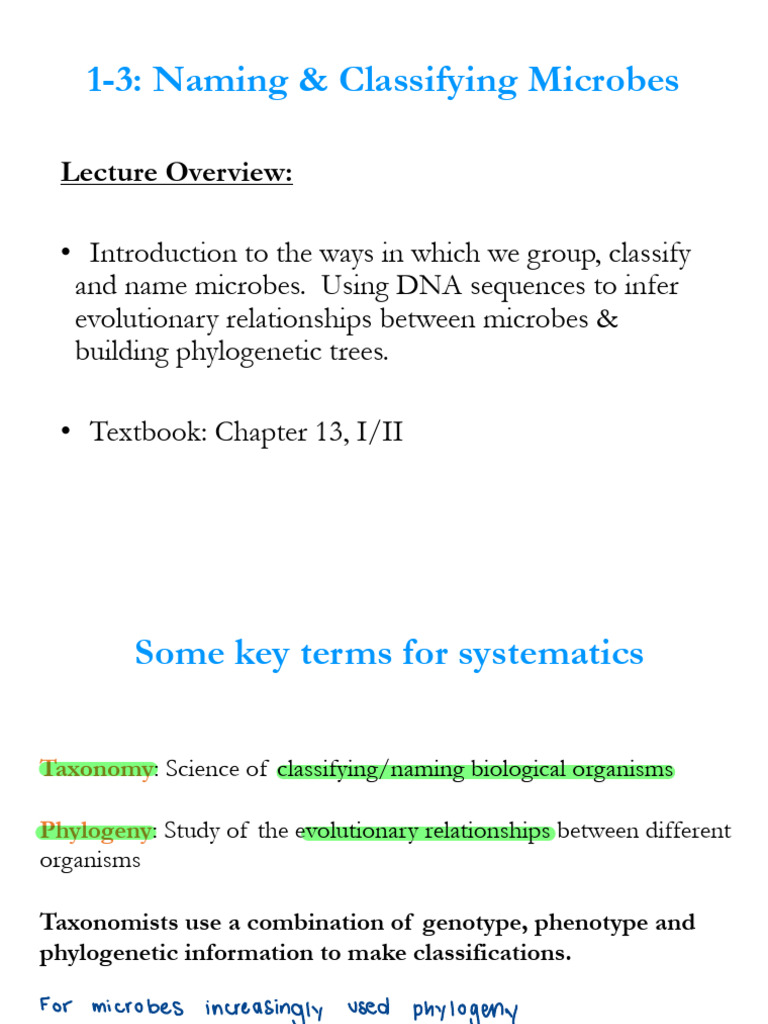 1-3 - Naming and Classifying Microbes | PDF