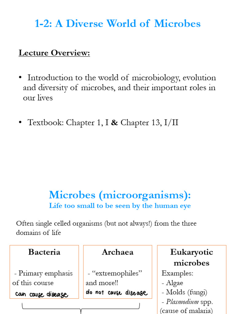1-2 - Evolution and Diversity of Microbes | PDF