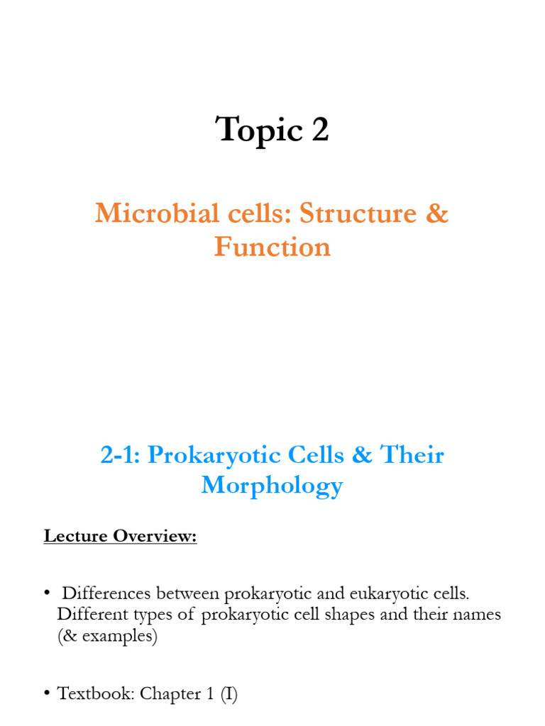 2-1 - Prokaryotic Cells - Their Morphology | PDF