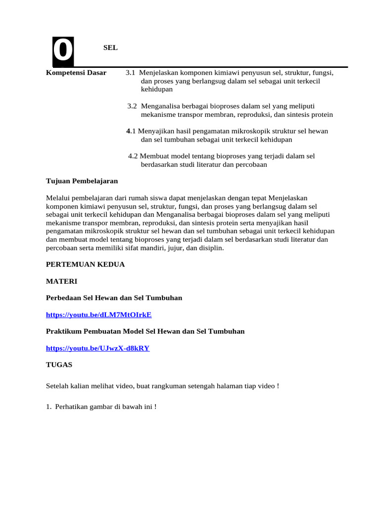 LKPD Sel 2 Irwan | PDF