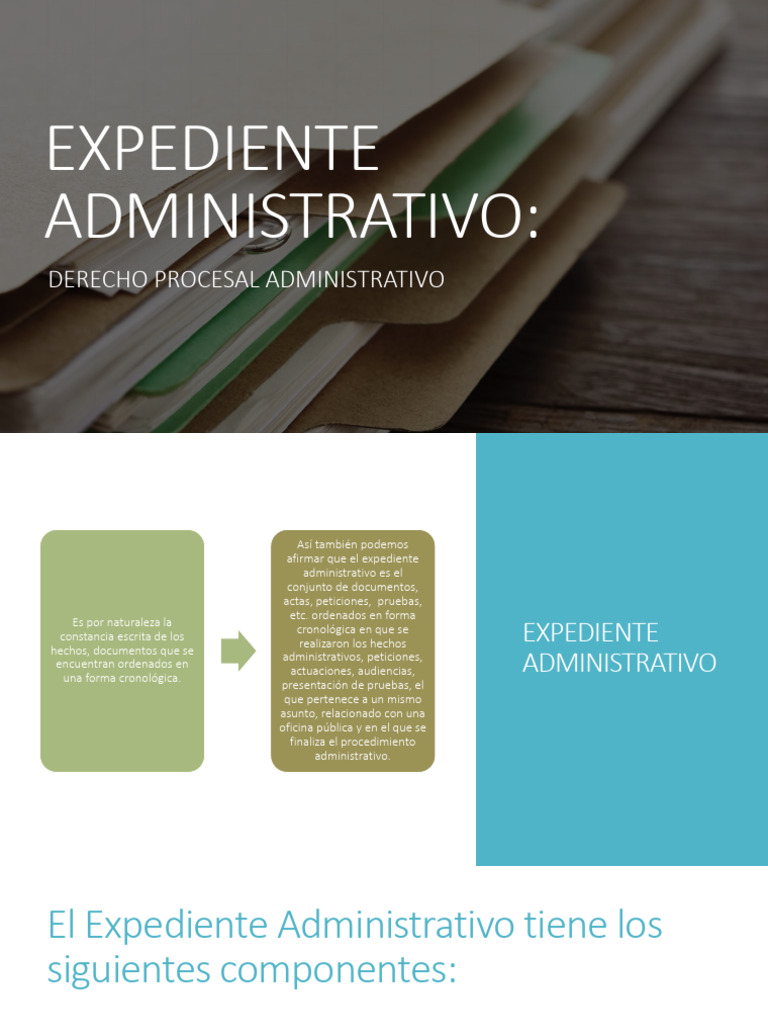 Expediente Administrativo | PDF