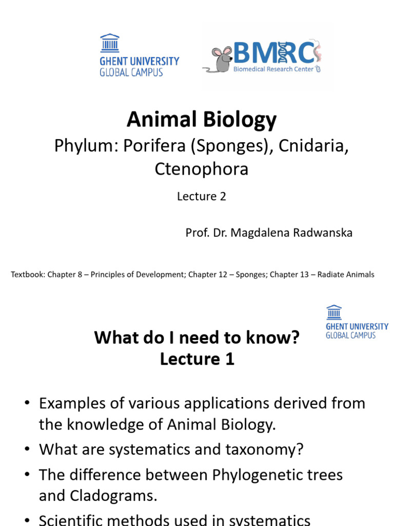 Lecture2 2024 Final | PDF