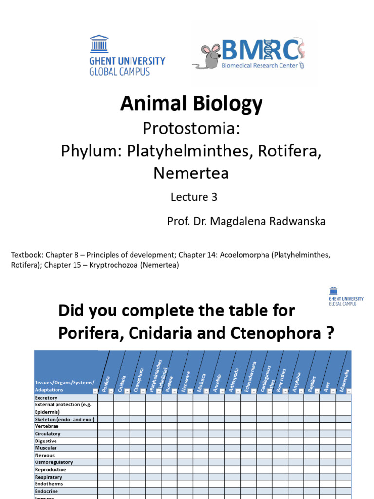 Lecture3 2024 Final | PDF