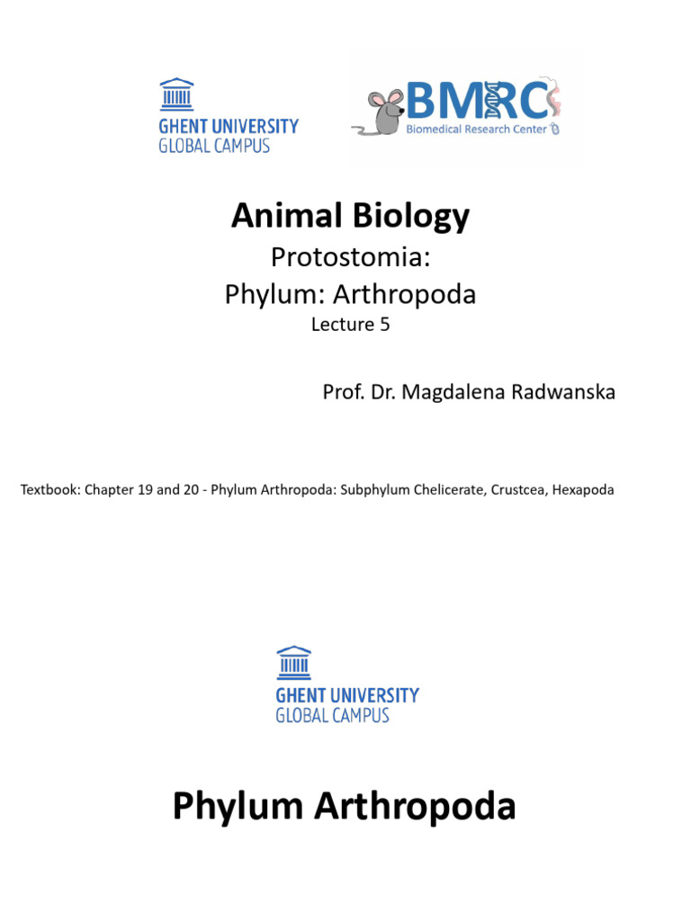 Lecture5 2024 Final | PDF