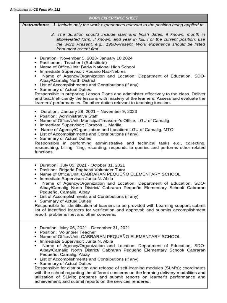 Work Experience Sheet | PDF