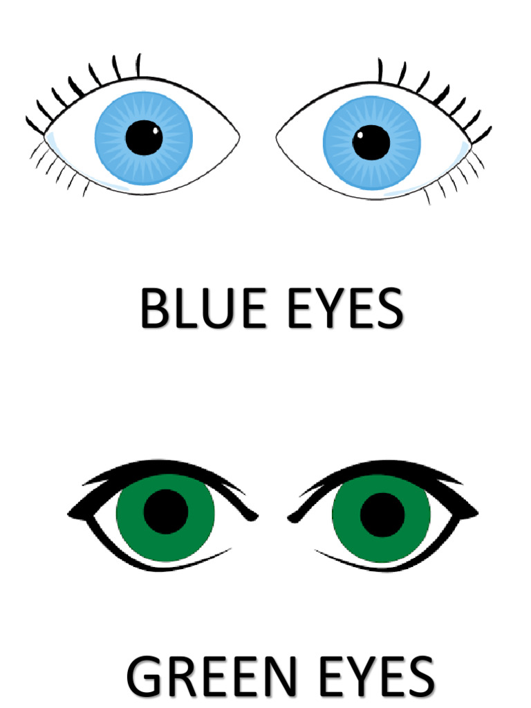 BODY CHARACTERISTICS | PDF