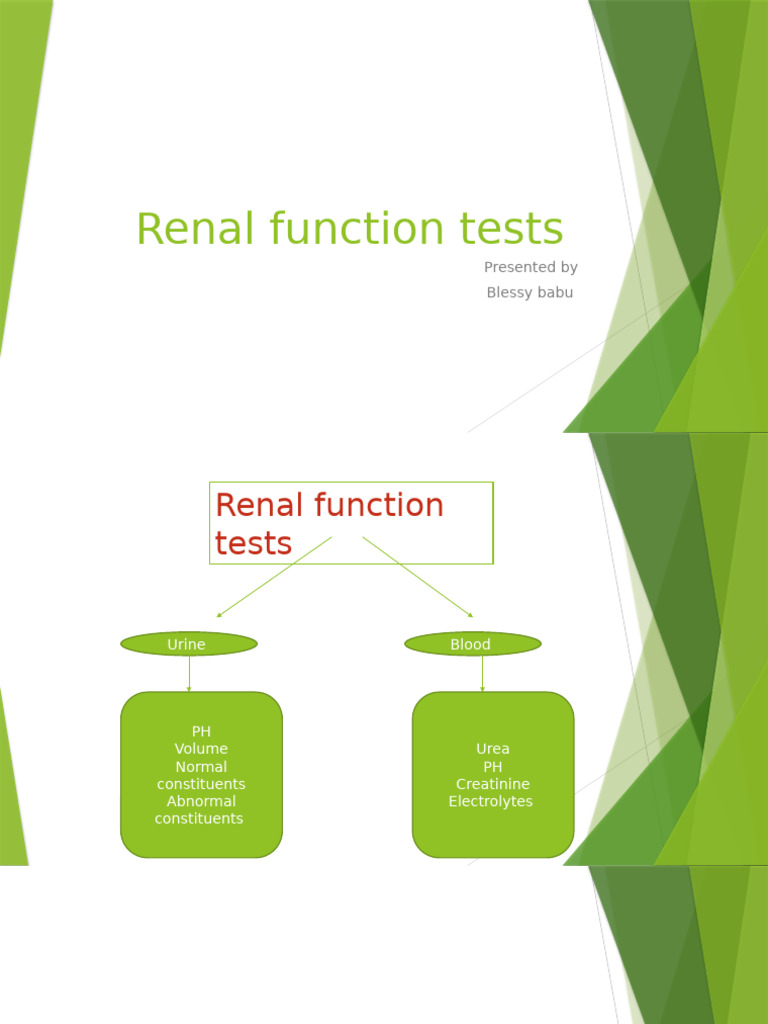 Renal Function Tests | PDF